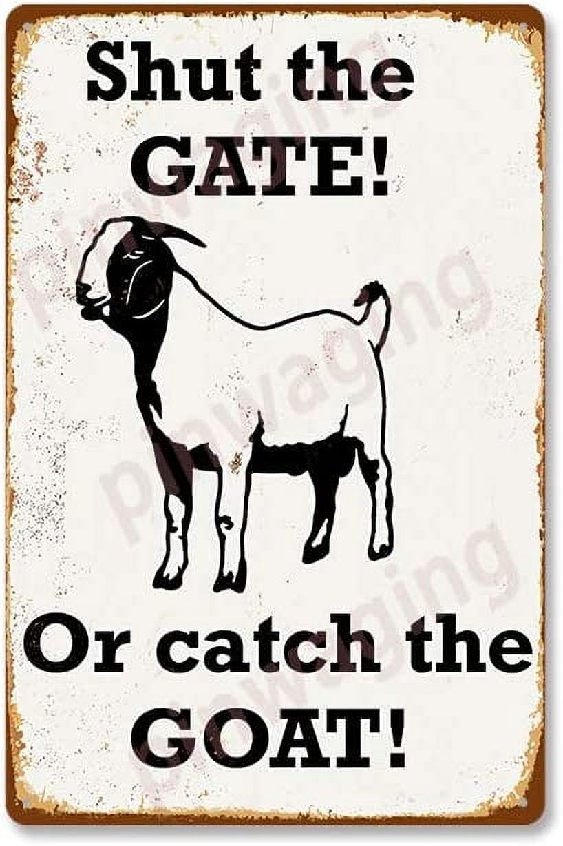 AEFER Modern Art Metal Tin Sign- Shut The Gate Or Catch The Goat - Wall ...