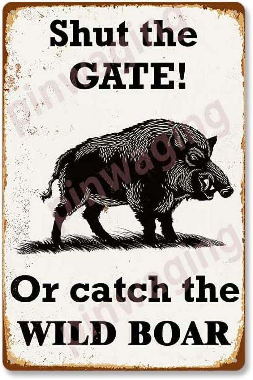 AEFER Modern Art Metal Tin Sign- Shut The Gate Or Catch The Wild Boar ...