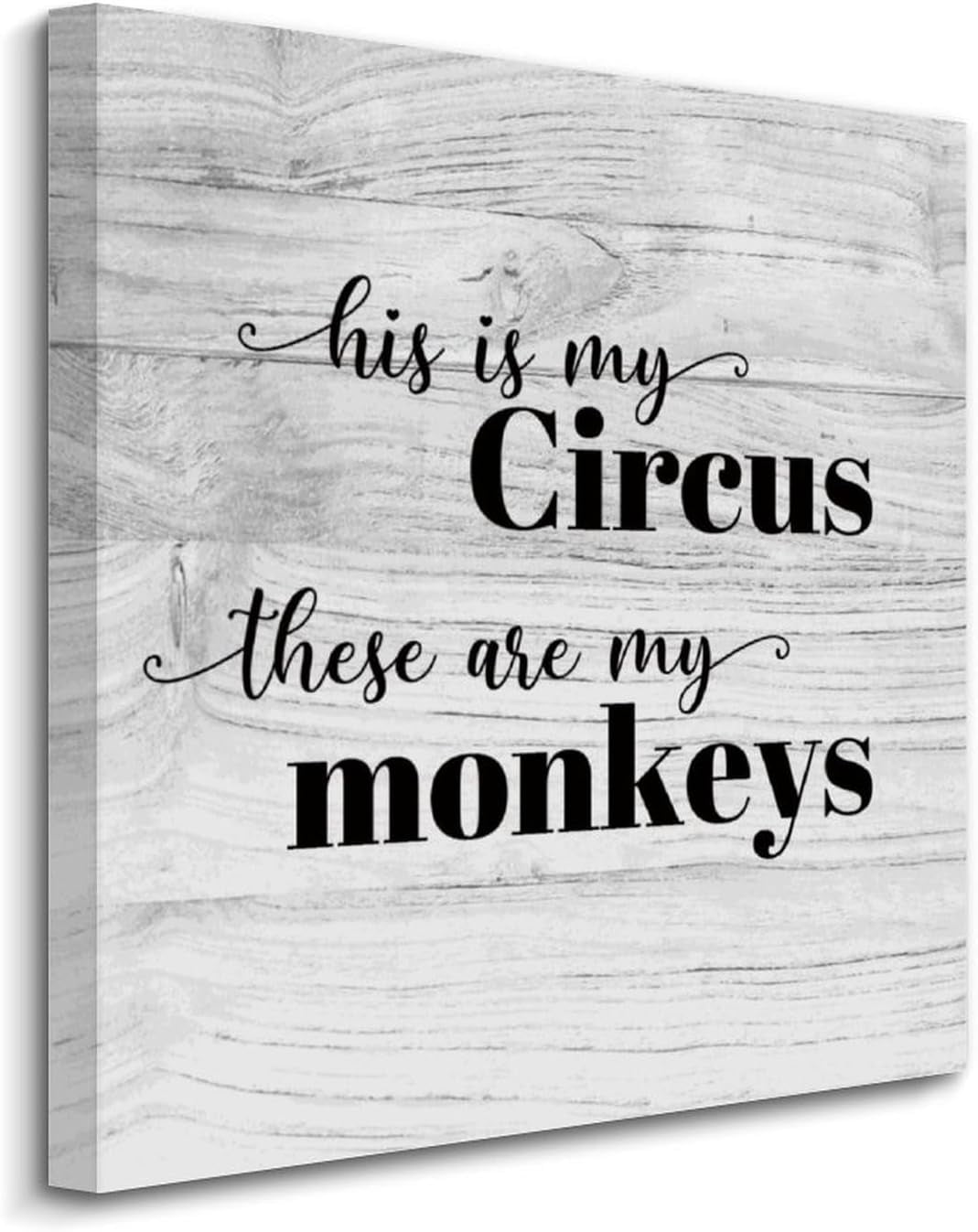 AEFER Motivational Canvas Prints Wall Art His Is My Circus And These ...