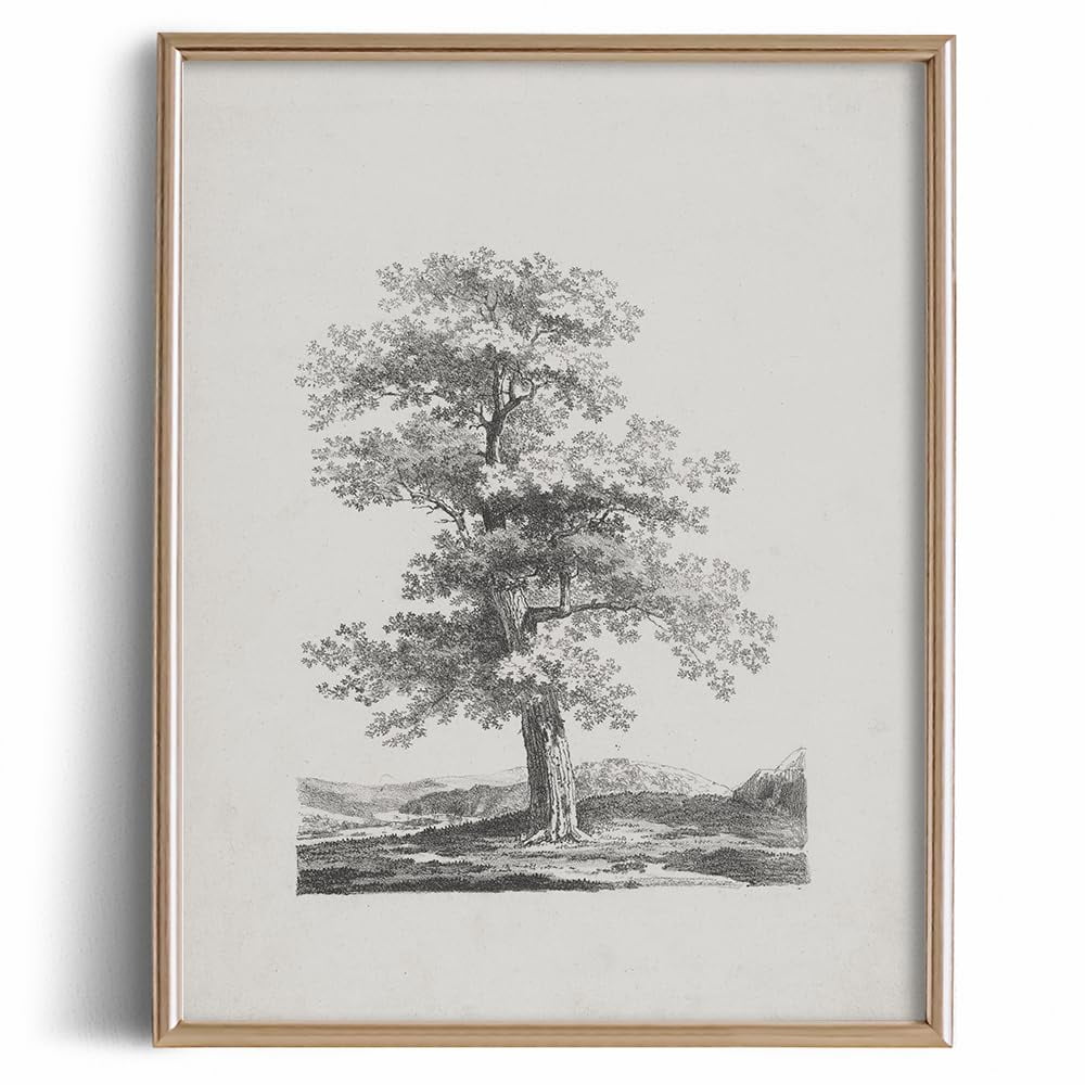 AEFER Mountains Nature Trees Etching Rustic Picture - Vintage Farmhouse ...