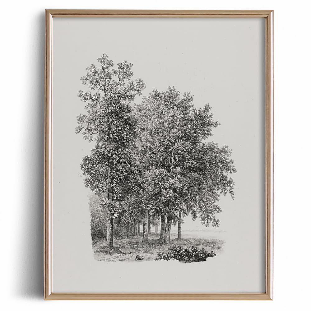 AEFER Mountains Trees Nature Etching Rustic Picture - Vintage Farmhouse ...