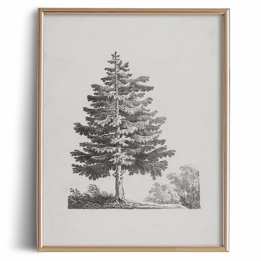 AEFER Mountains Trees Nature Etching Rustic Picture - Vintage Farmhouse ...