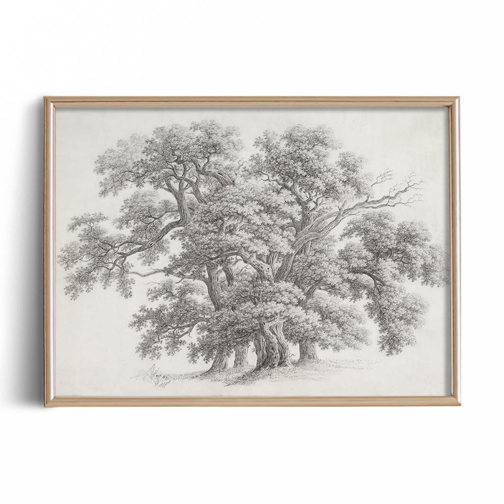 AEFER Nature Trees Etching Rustic Picture - Landscape Forest Wild ...