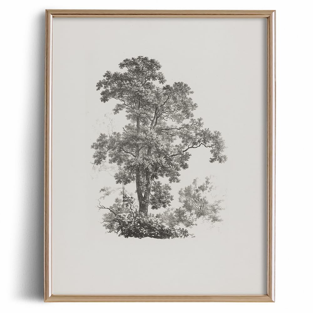 AEFER Nature Trees Etching Rustic Picture - Vintage Farmhouse Engrave ...