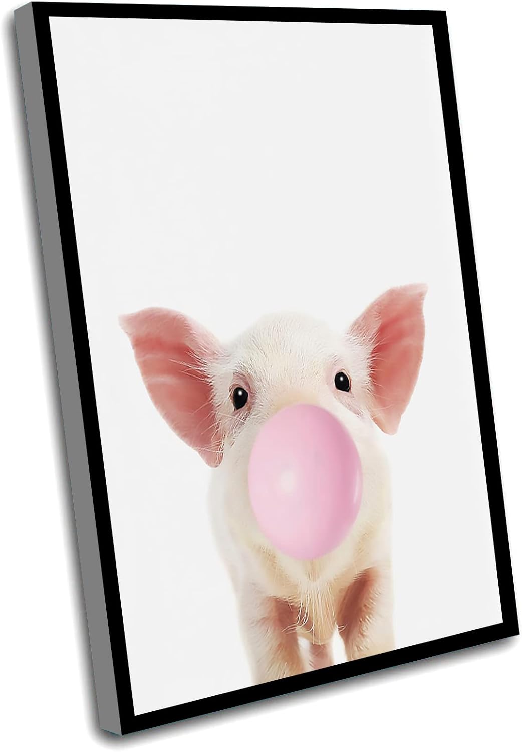 ASPORIC Sharks & Kin Sealife Mammals Educational Science Classroom ...