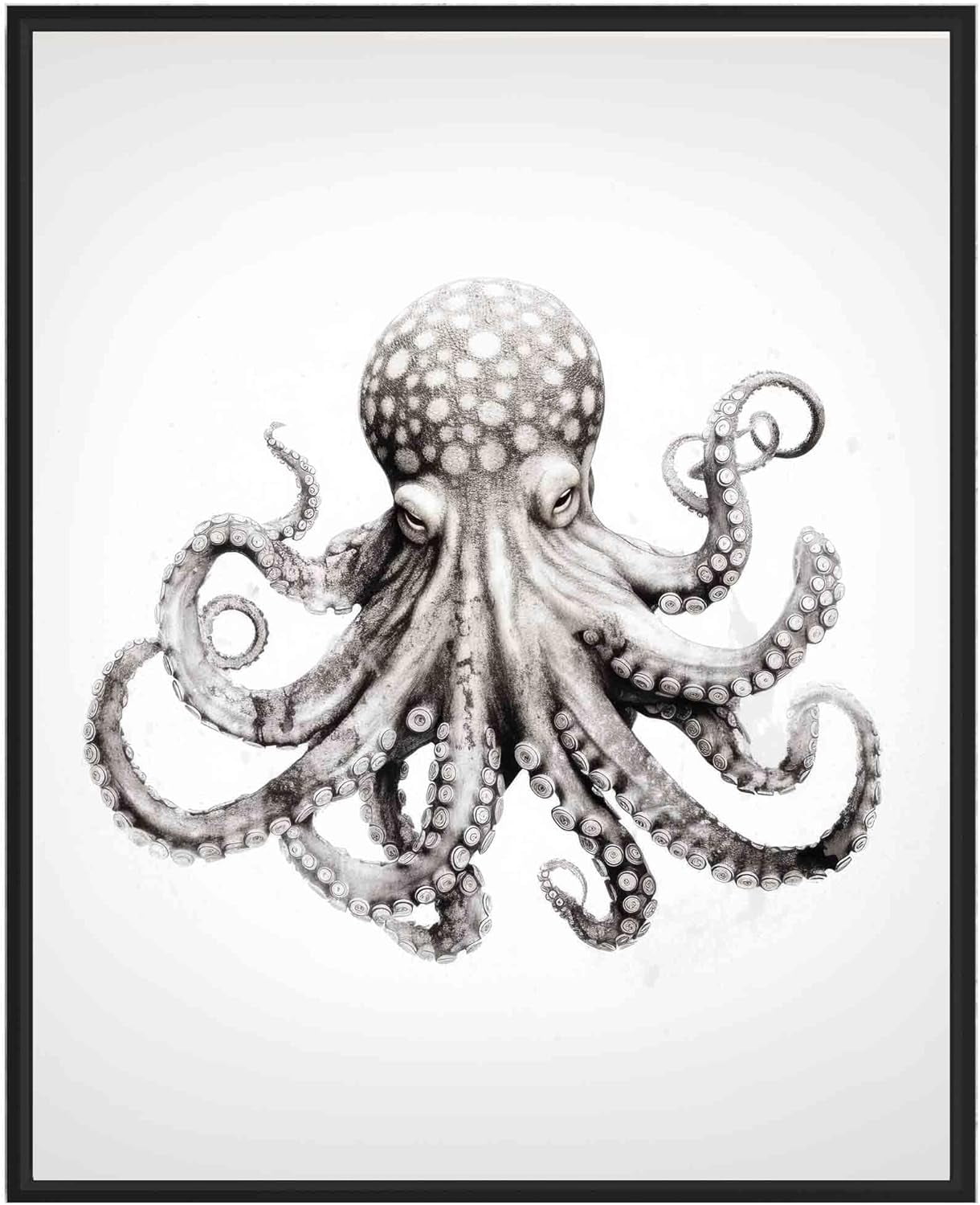 AEFER Octopus Art Prints Posters, Black and White Photography Wall Art ...