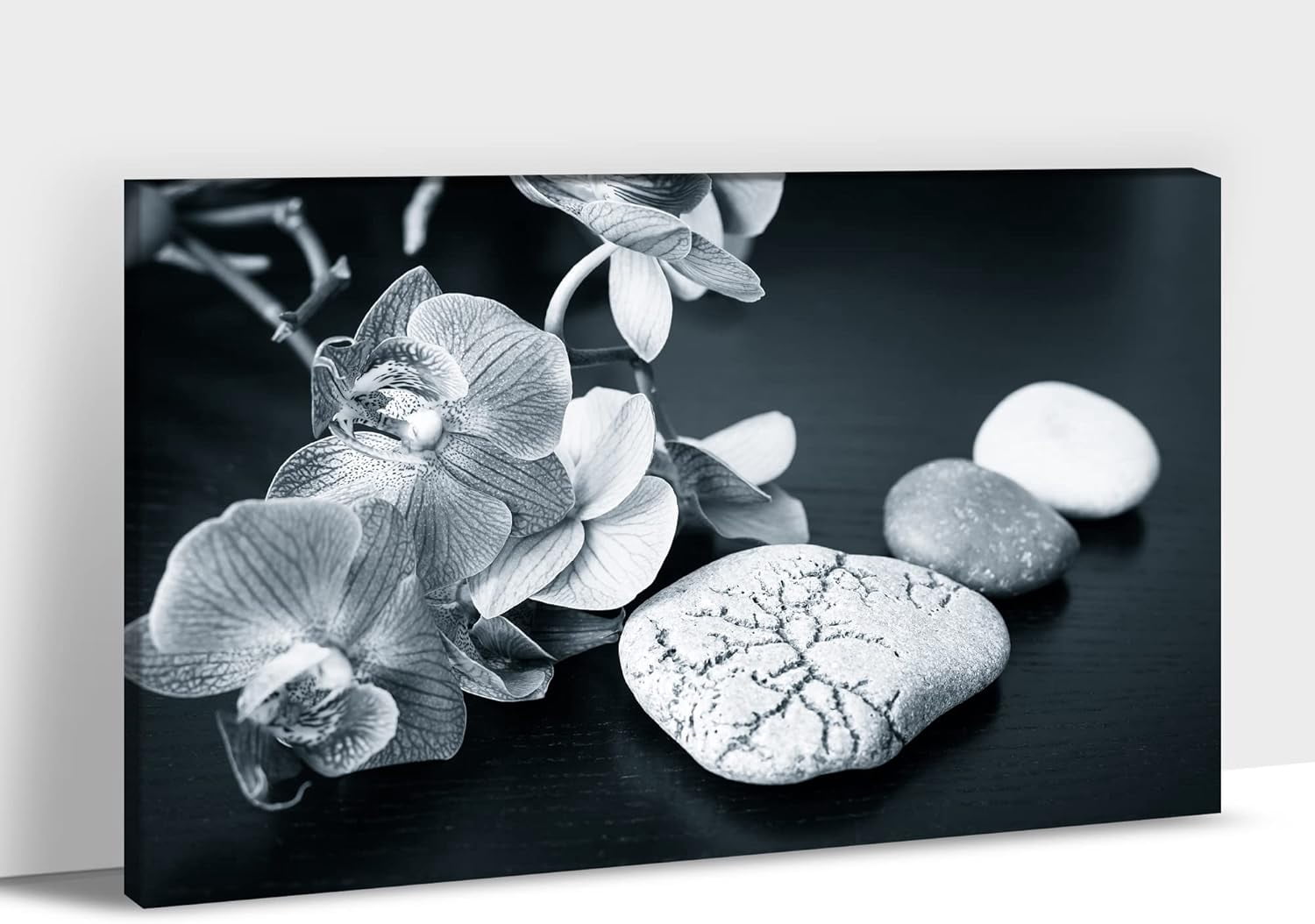 AEFER Orchids Flower Wall Art, Zen Sap Elements Canvas Wall Art, Black ...