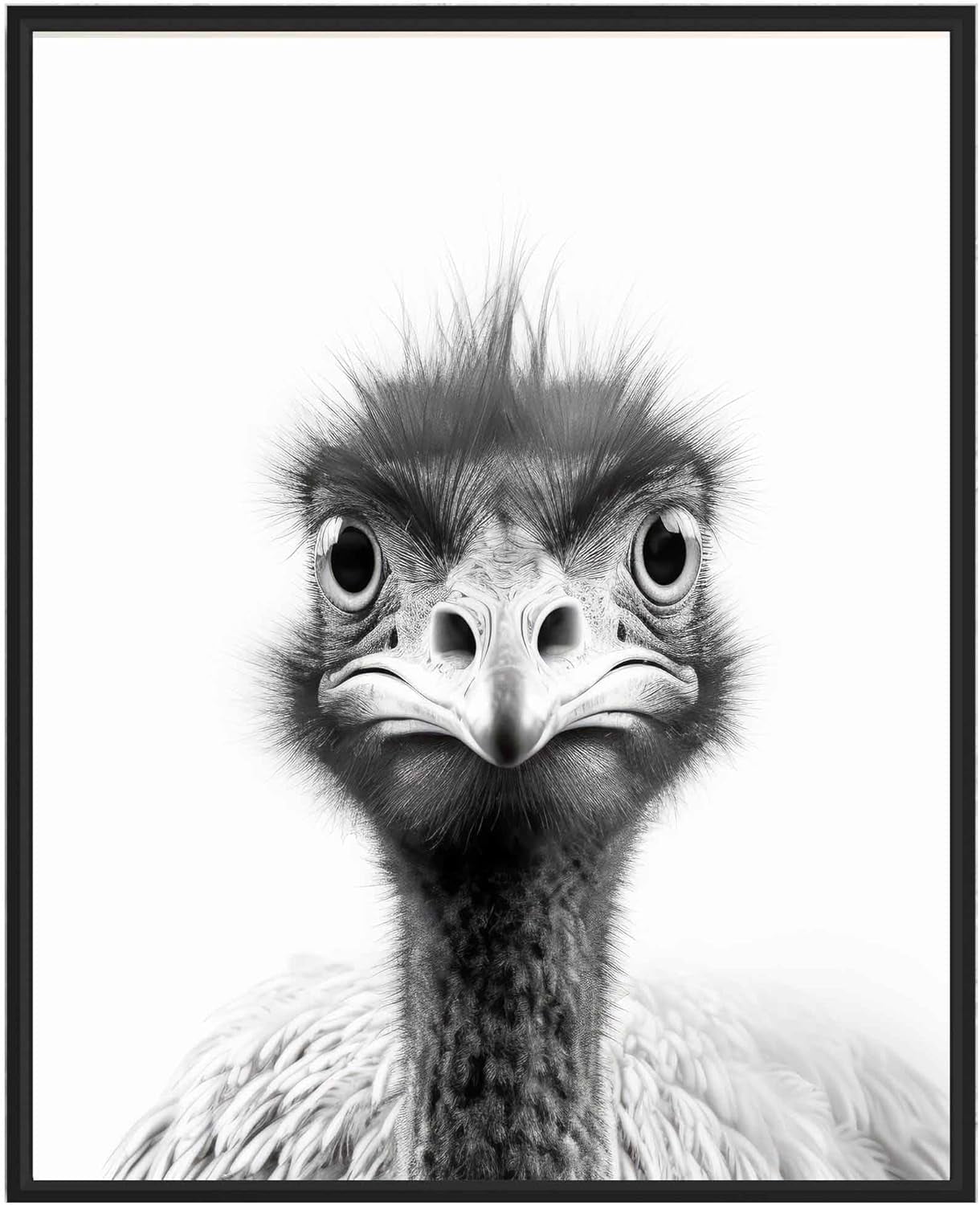 AEFER Ostrich Art Prints Posters, Black and White Photography Wall Art ...
