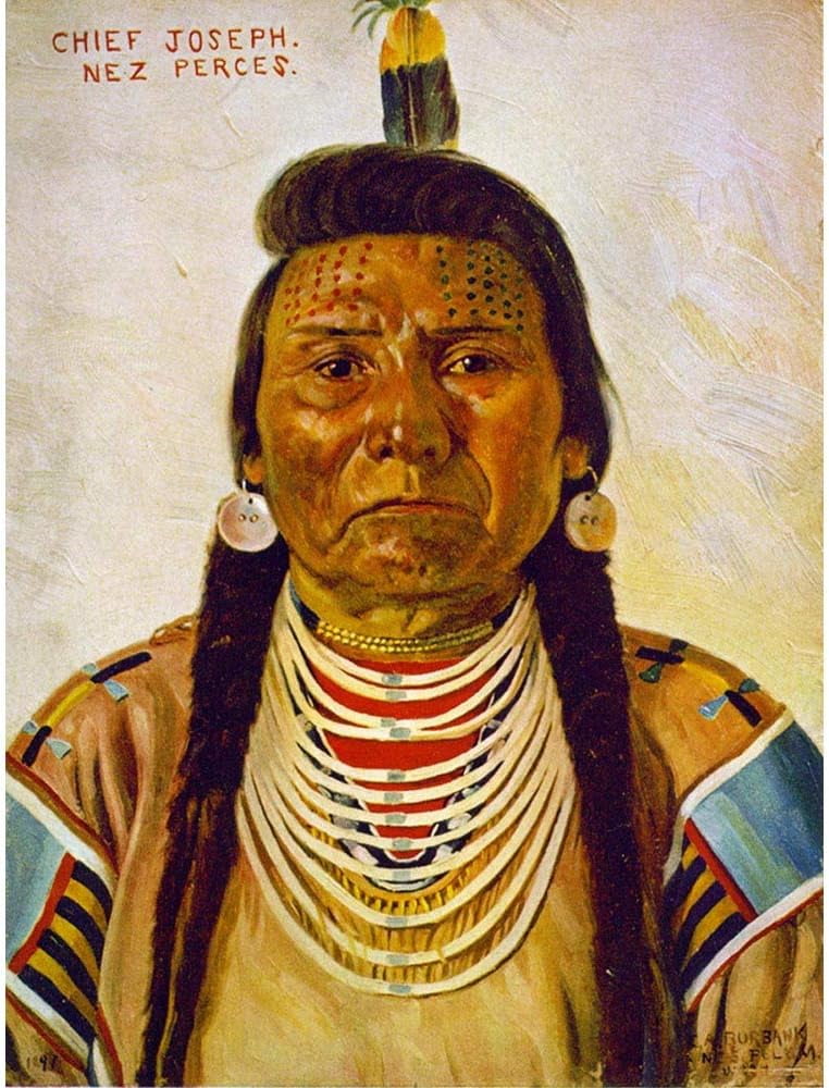 AEFER Painting Native American Nez Perce Chief Joseph Burbank USA Wall ...