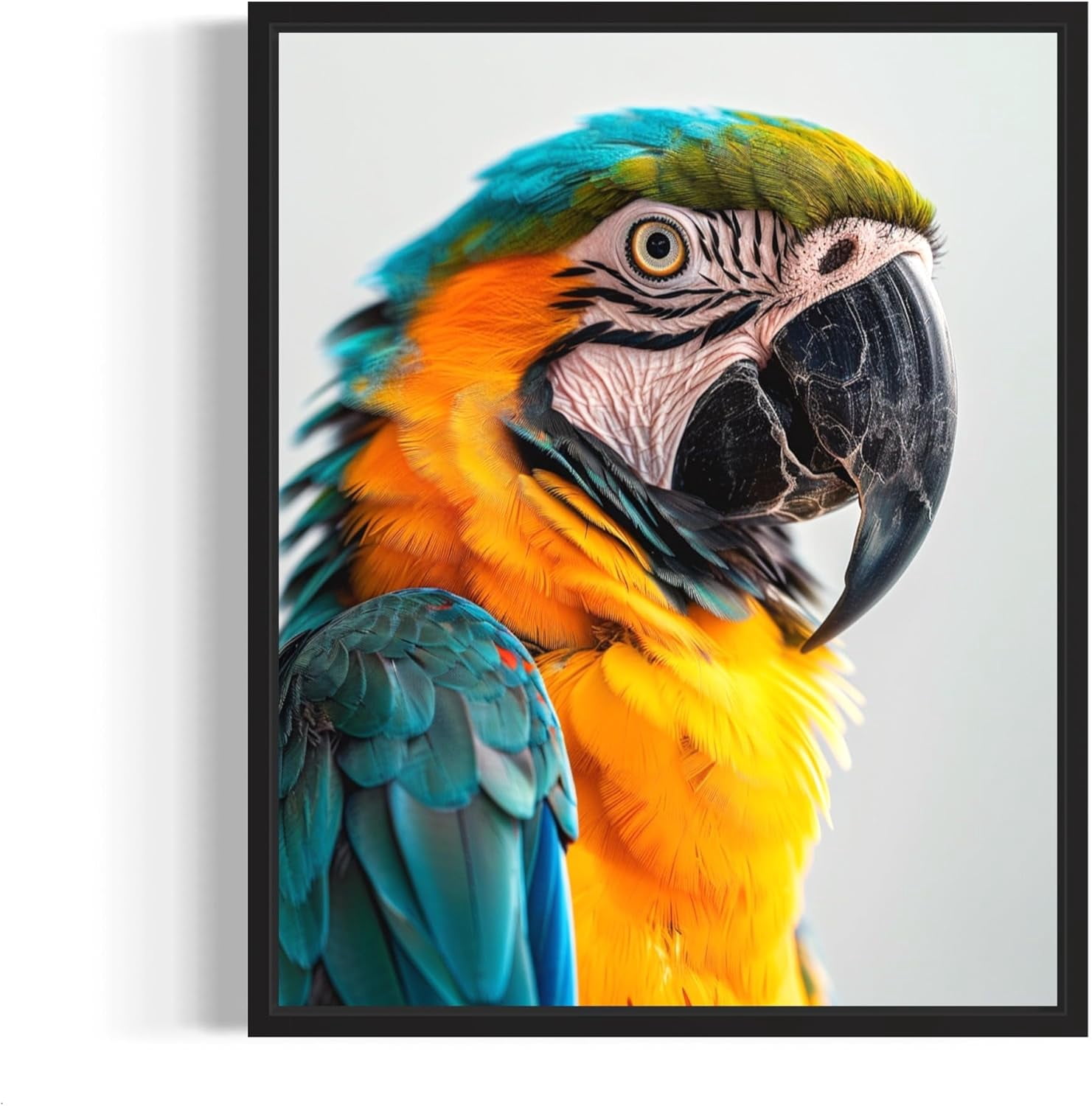 AEFER Parrot Poster Art Print, Animal Portrait Wall Art Nature Decor ...