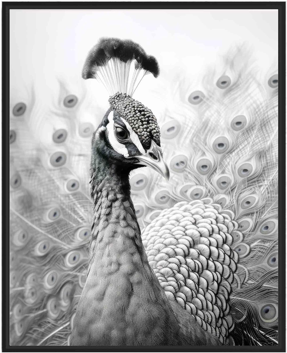 AEFER Peacock Art Prints Posters, Black and White Photography Wall Art ...