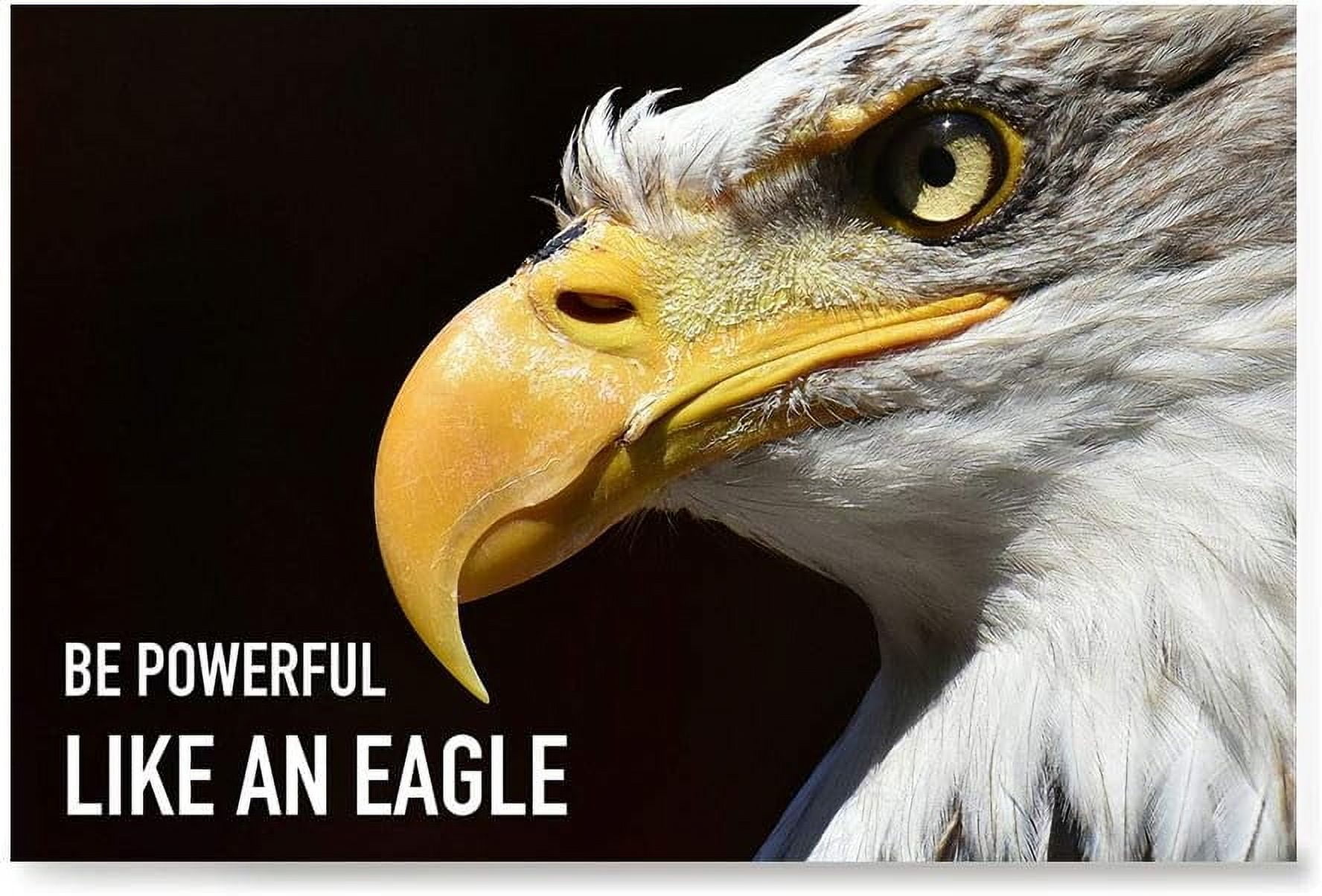 AEFER Most Popular Eagle Theme Quote Posters - Power Strength Brave ...