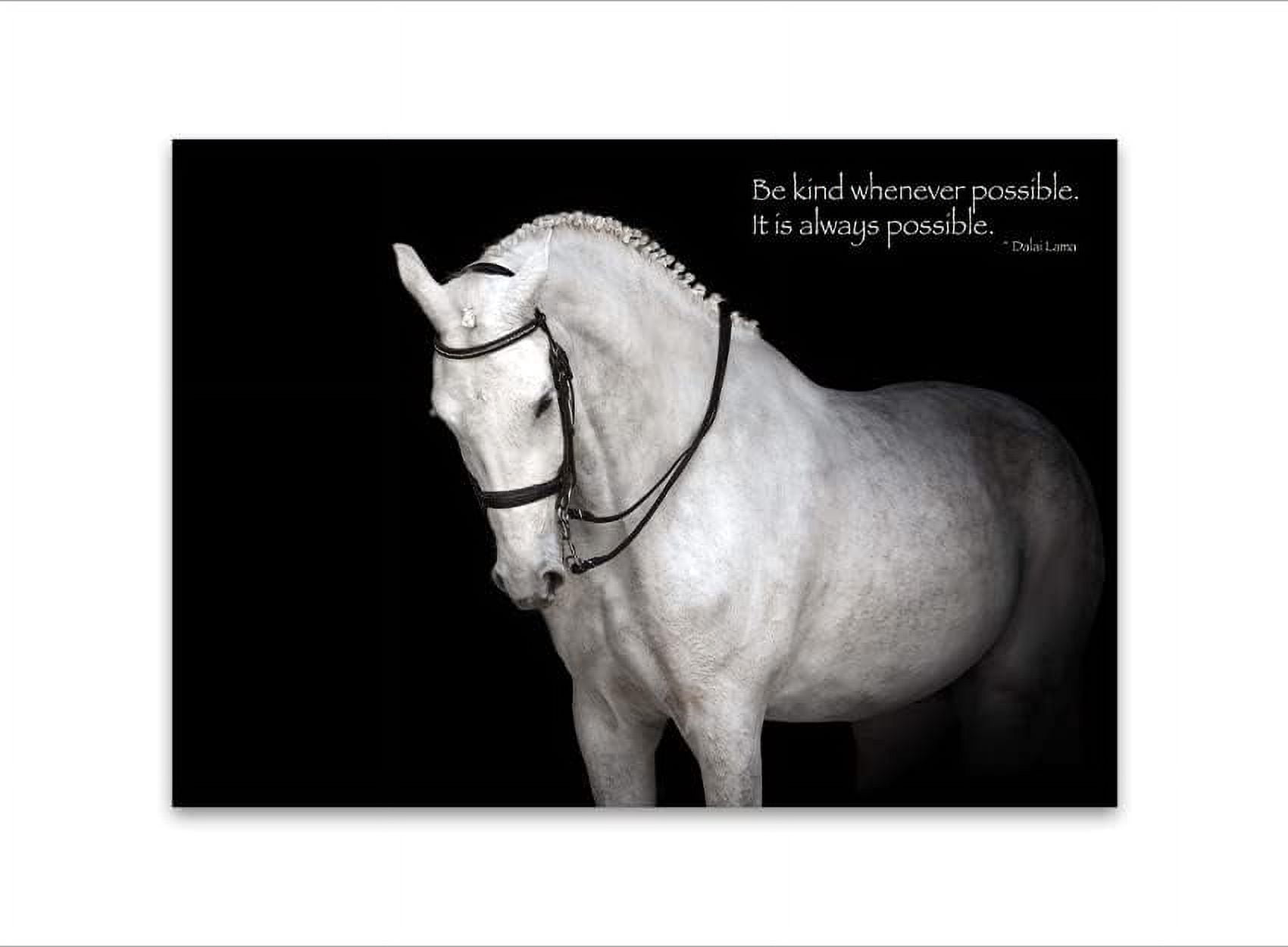 AEFER Most Popular Horse Theme Quote Posters - Power Strength Elegant ...