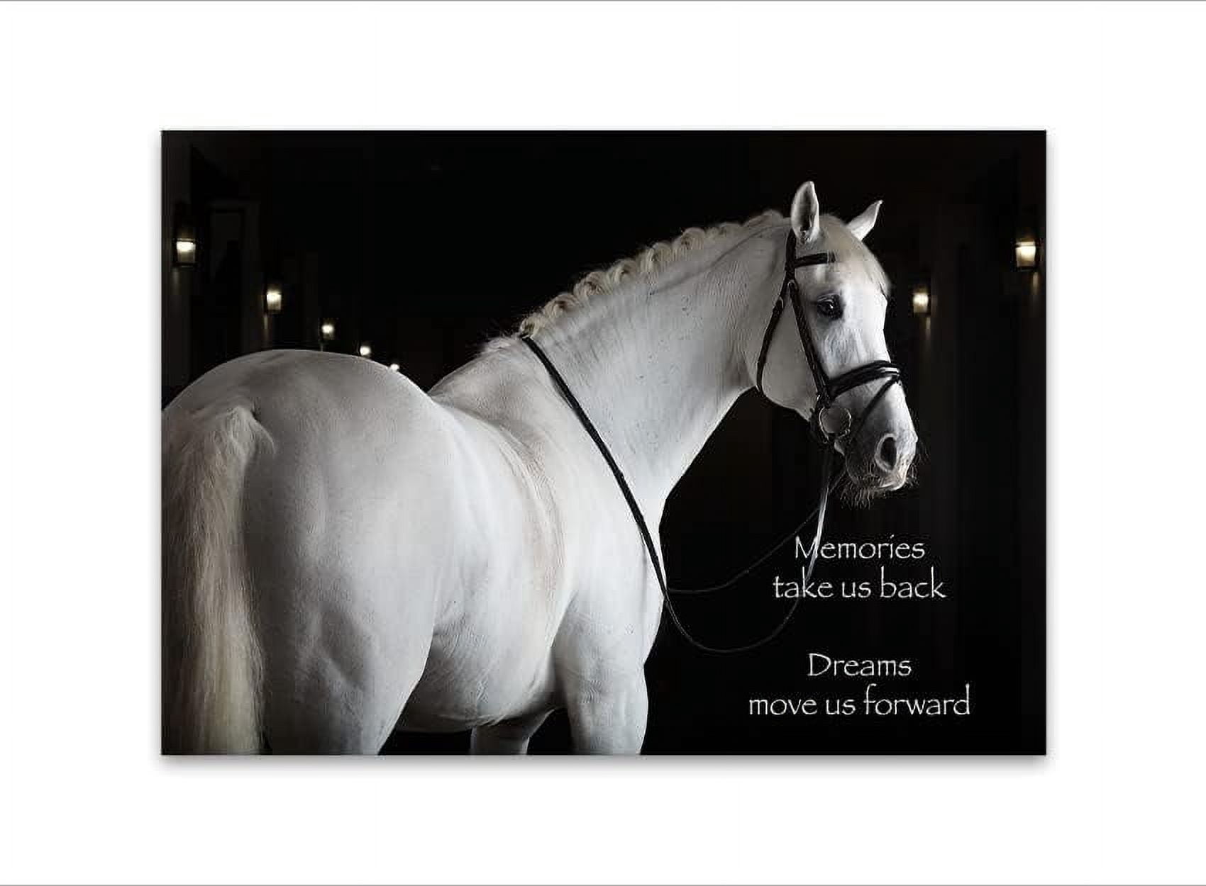 AEFER Most Popular Horse Theme Quote Posters - Power Strength Elegant ...