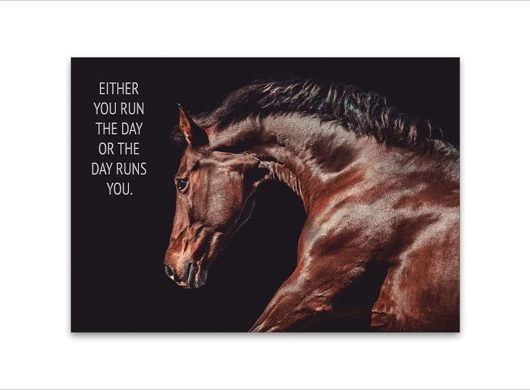 AEFER Most Popular Horse Theme Quote Posters - Power Strength Elegant ...