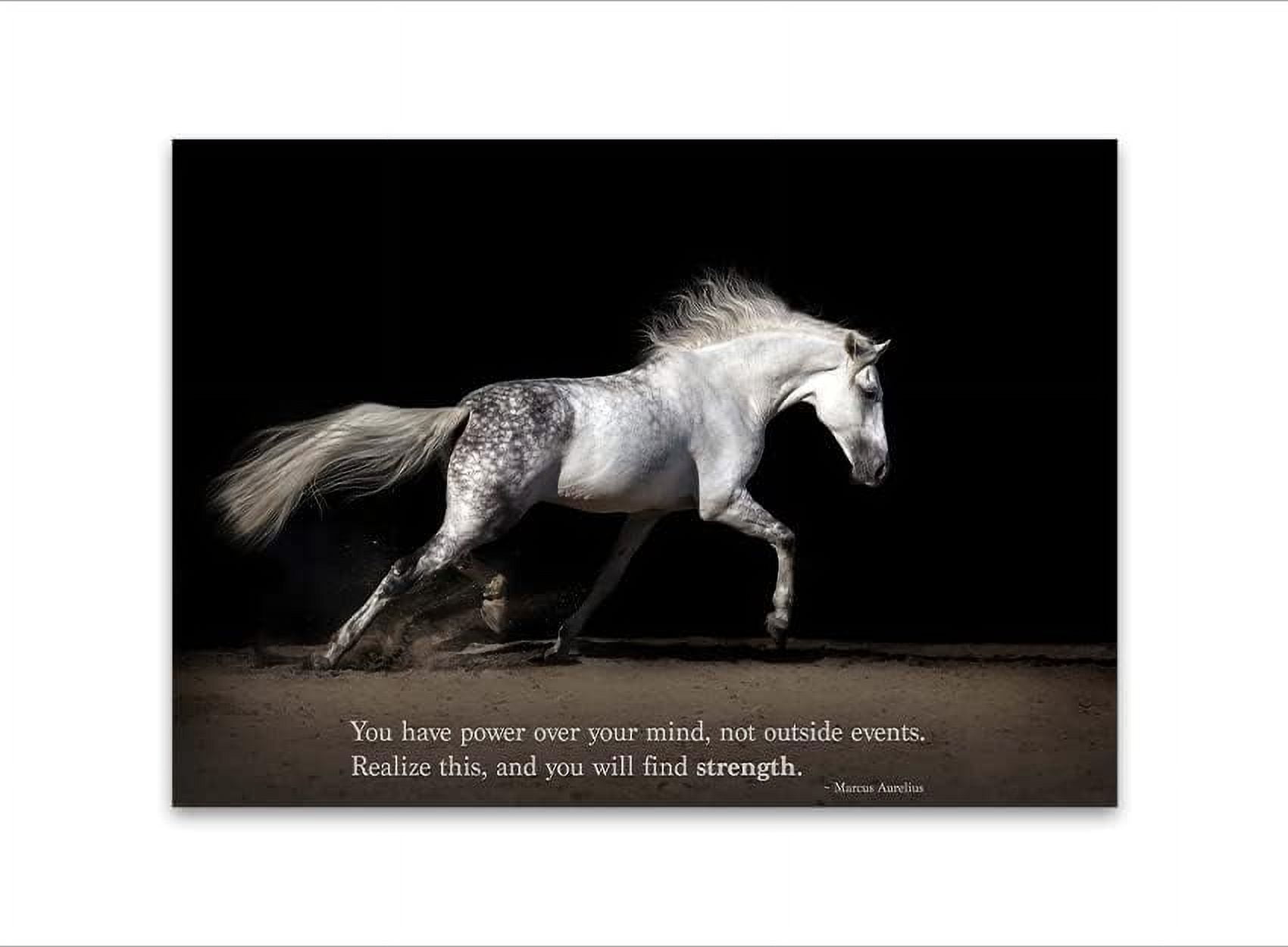 AEFER Most Popular Horse Theme Quote Posters - Power Strength Elegant ...