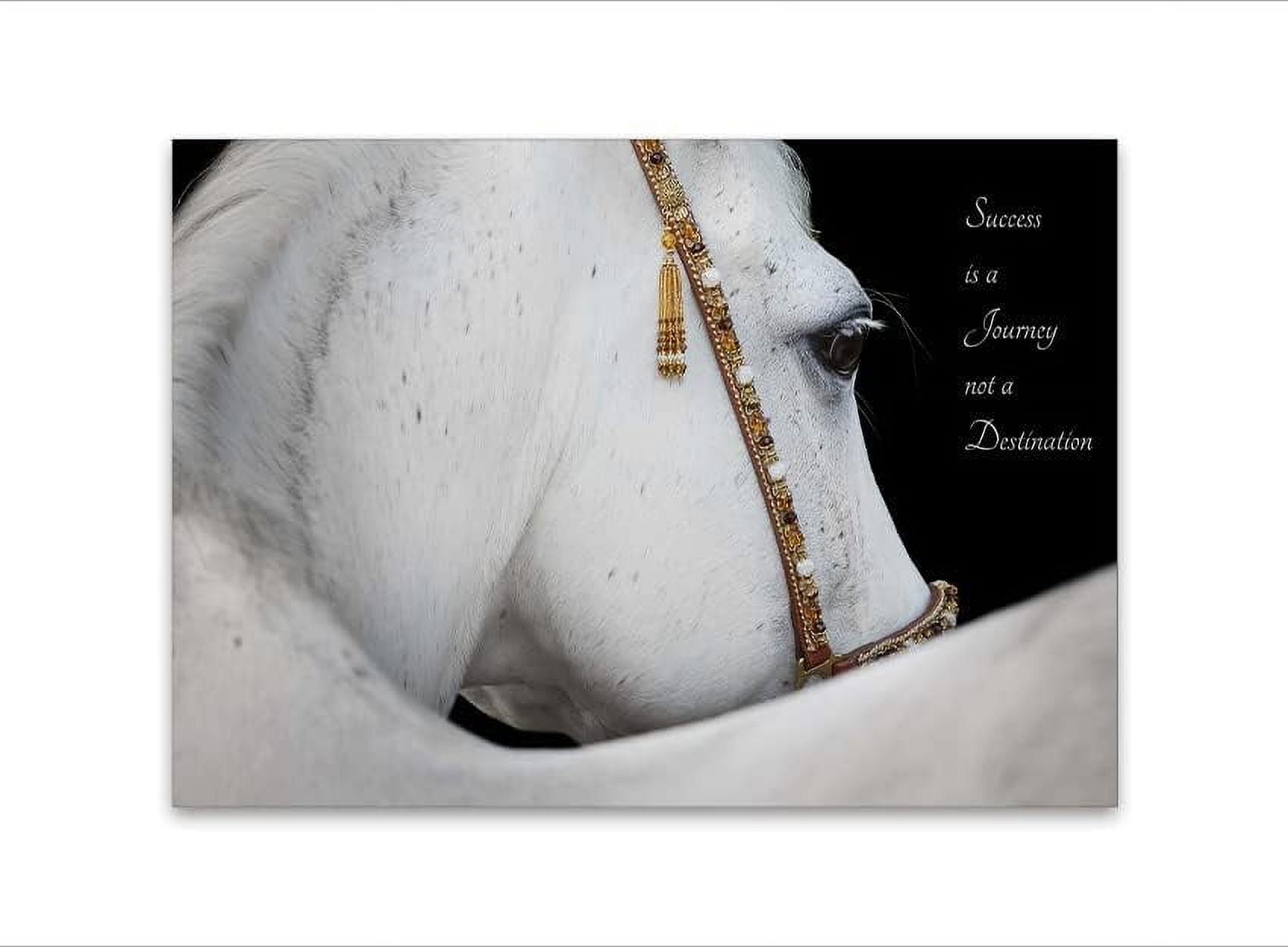 AEFER Most Popular Horse Theme Quote Posters - Power Strength Elegant ...