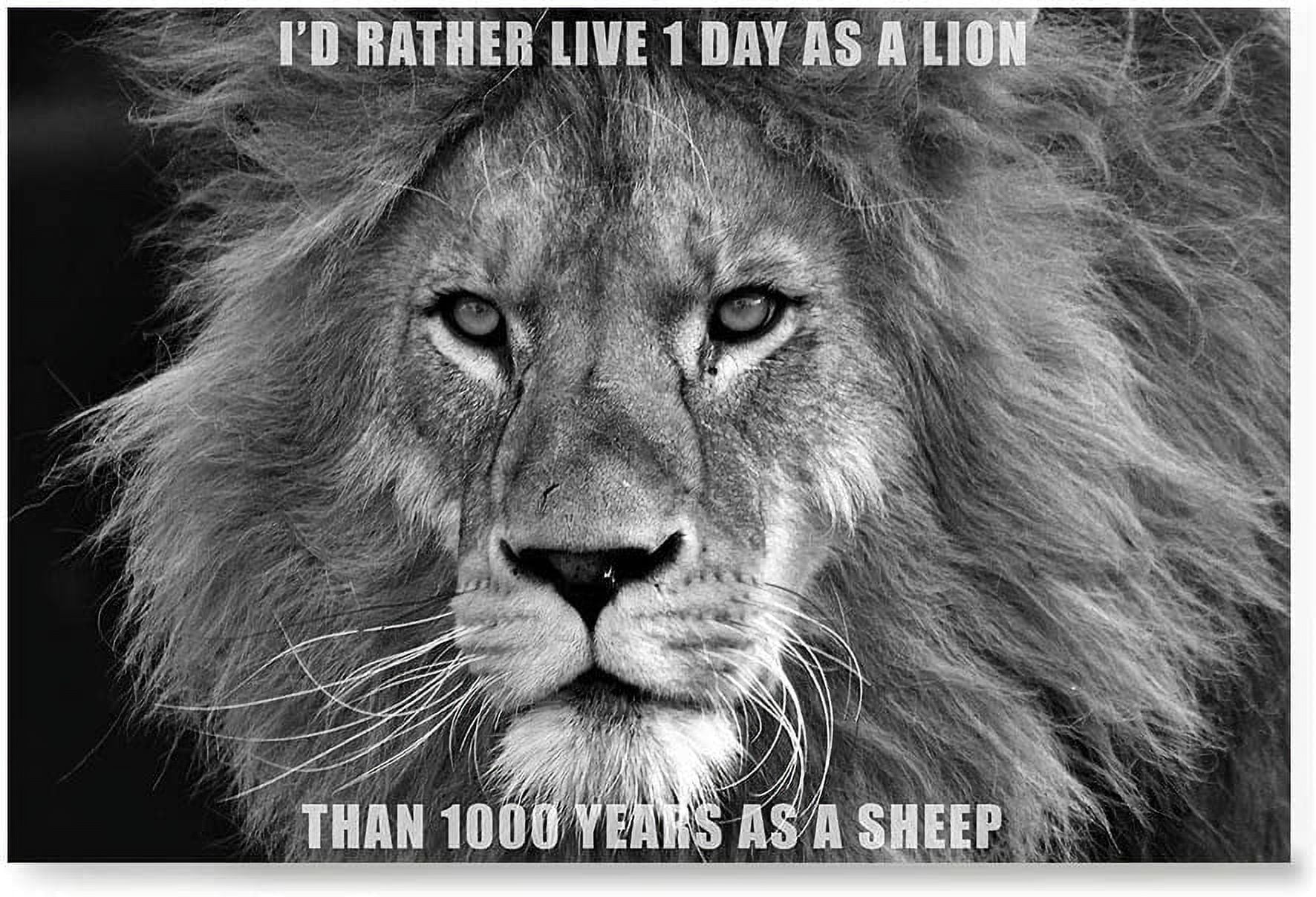 AEFER Most Popular Lion Theme Quote Posters - Power Strength Brave ...