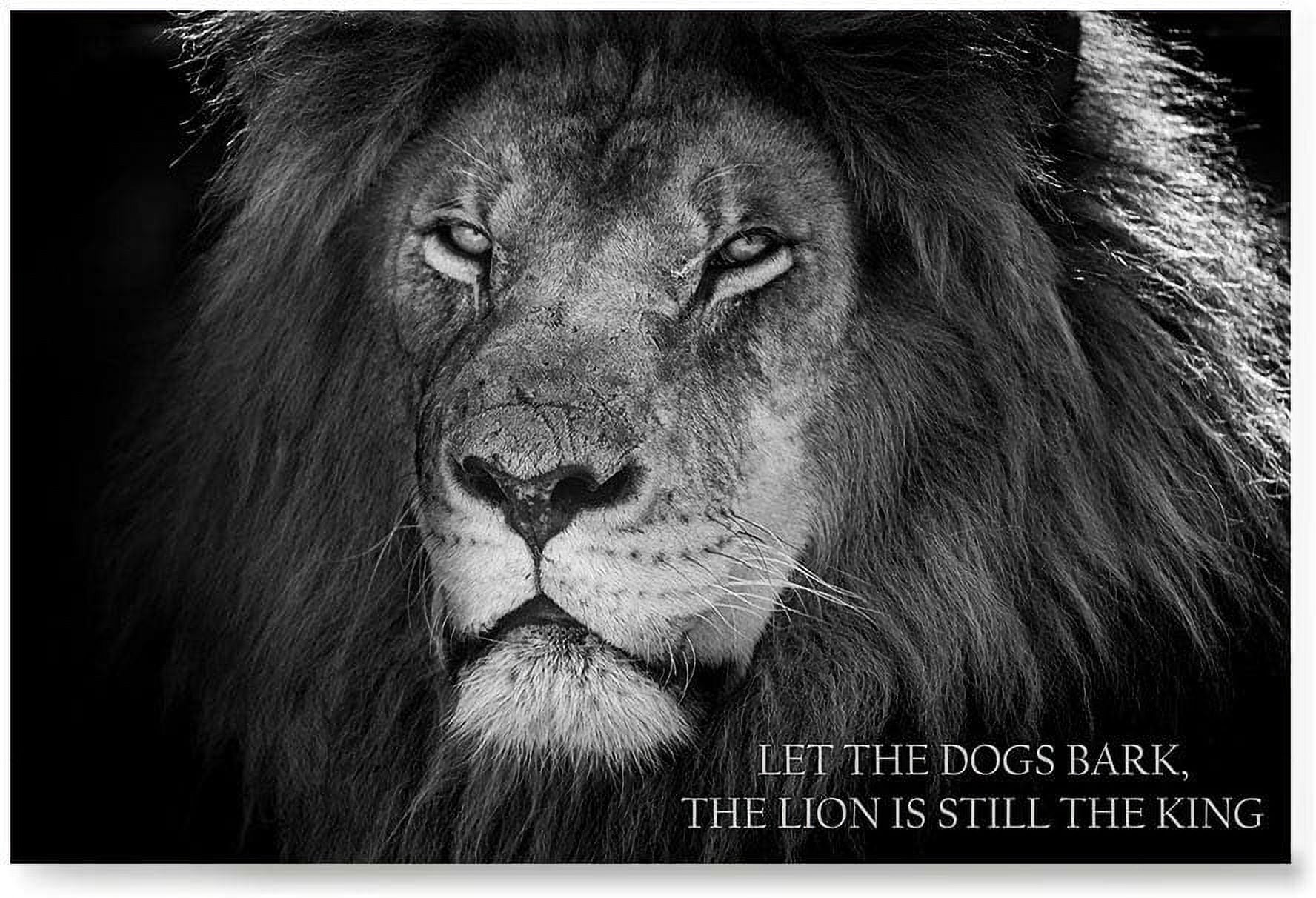 AEFER Most Popular Lion Theme Quote Posters - Power Strength Brave ...