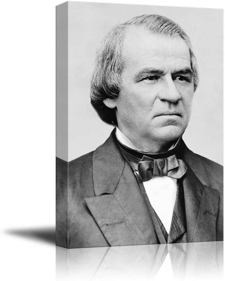 AEFER Portrait of Andrew Johnson (17th President of The United States ...