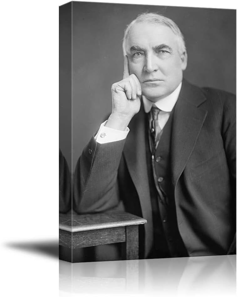 AEFER Portrait of Warren G. Harding (29th President of The United ...