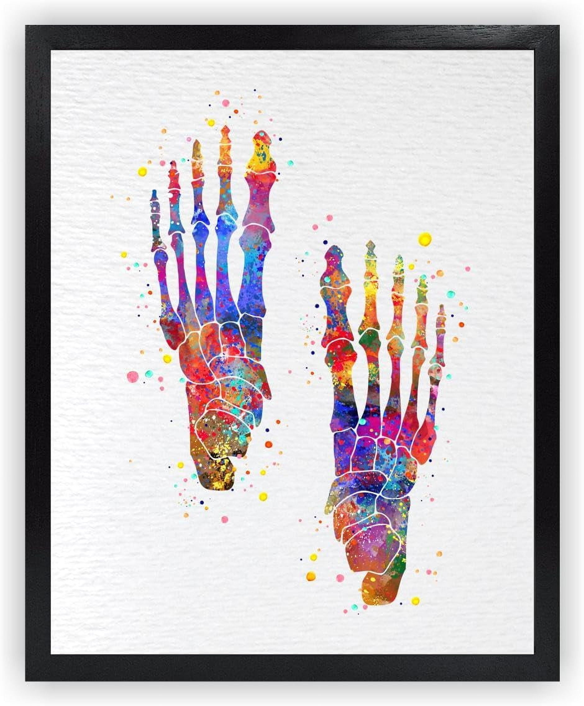 AEFER-Poster-Foot-Bone-Watercolor-Art-Print-Human-Anatomy-Skeletal ...