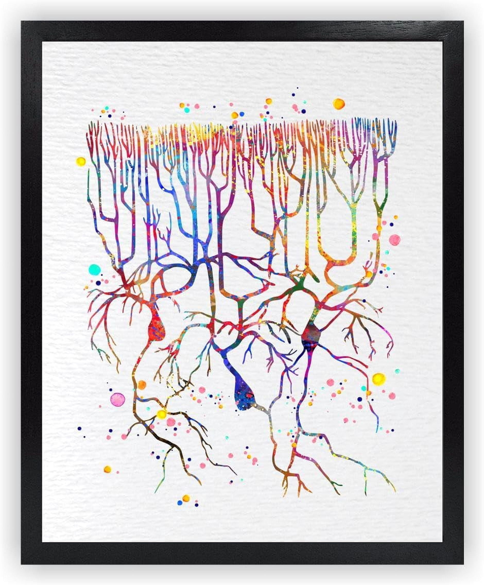 AEFER Purkinje Neuron Watercolor Print Science Neurology Medical Art ...
