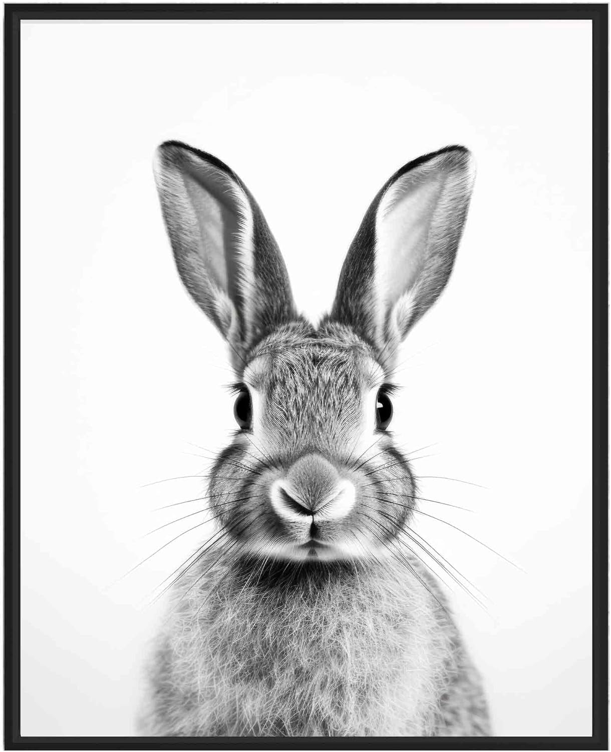 AEFER Rabbit Art Prints Posters, Black and White Photography Wall Art ...