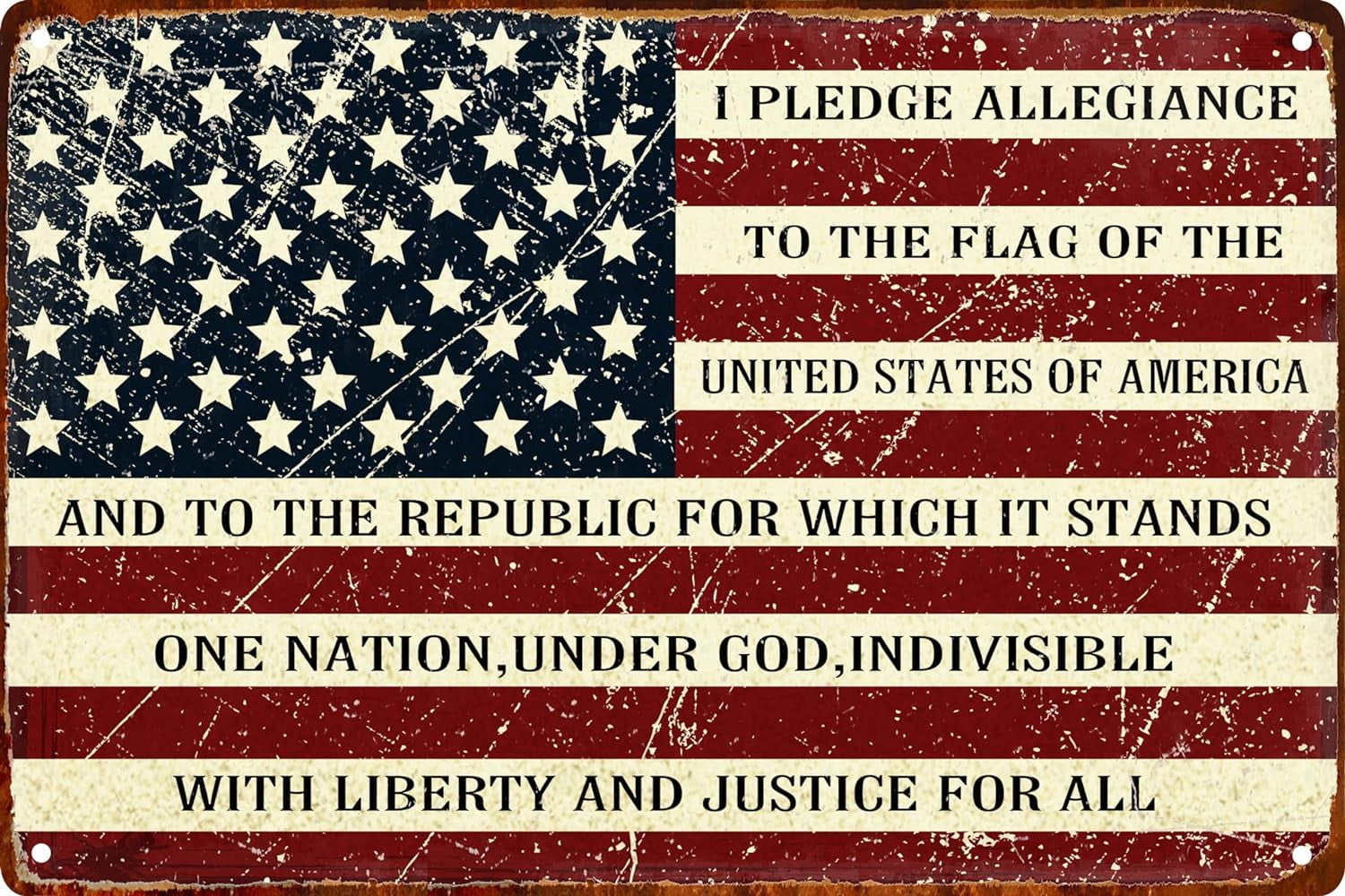 AEFER Retro Metal Sign Vintage Tin Sign I Pledge Allegiance to The Flag ...