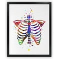 AEFER Rib Cage Bone Human Anatomy Medical Art Science Doctor Clinic ...