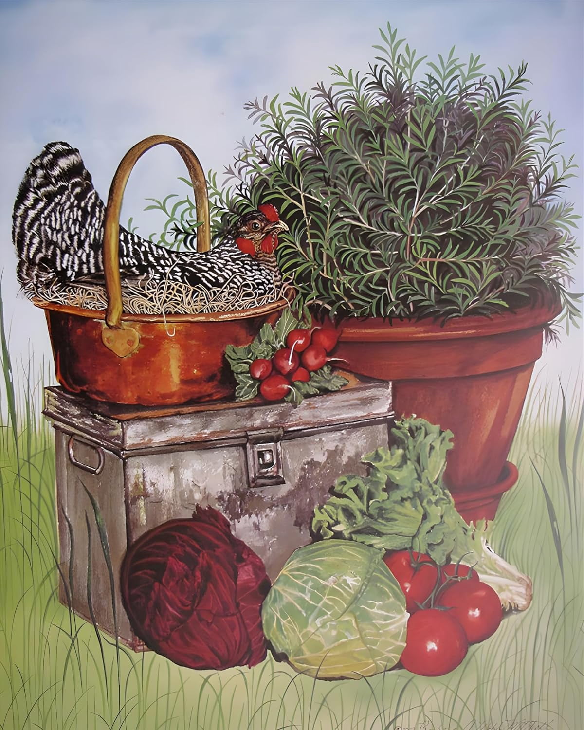 AEFER Rooster Chicken Barred Plymouth Rock Hen Kitchen Farm Animal Wall ...