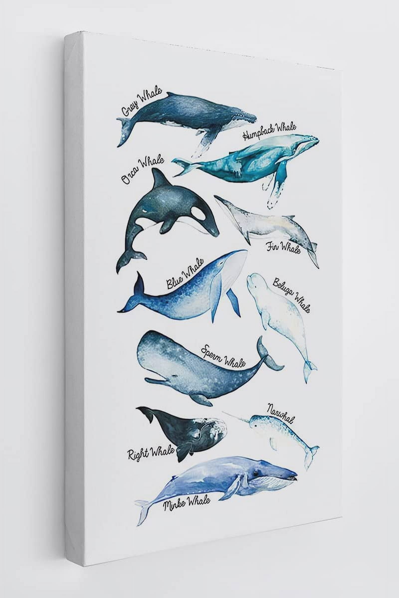 AEFER Sea Life Whale Educational Ocean Animal Chart Wall Art Canvas ...