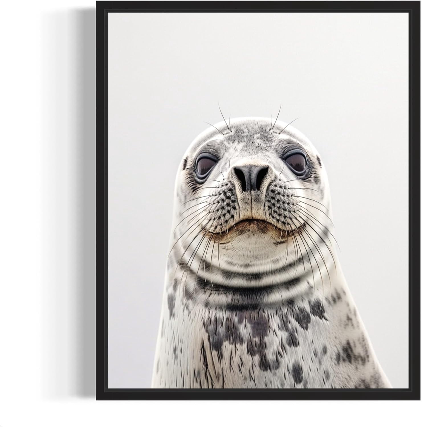 AEFER Seal Poster Art Print, Animal Portrait Wall Art Nature Decor ...