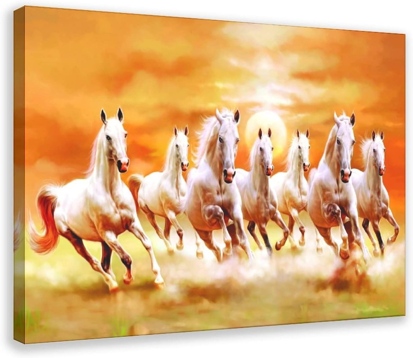 ASPORIC Frogs & Toads of the World Laminated Educational Science ...