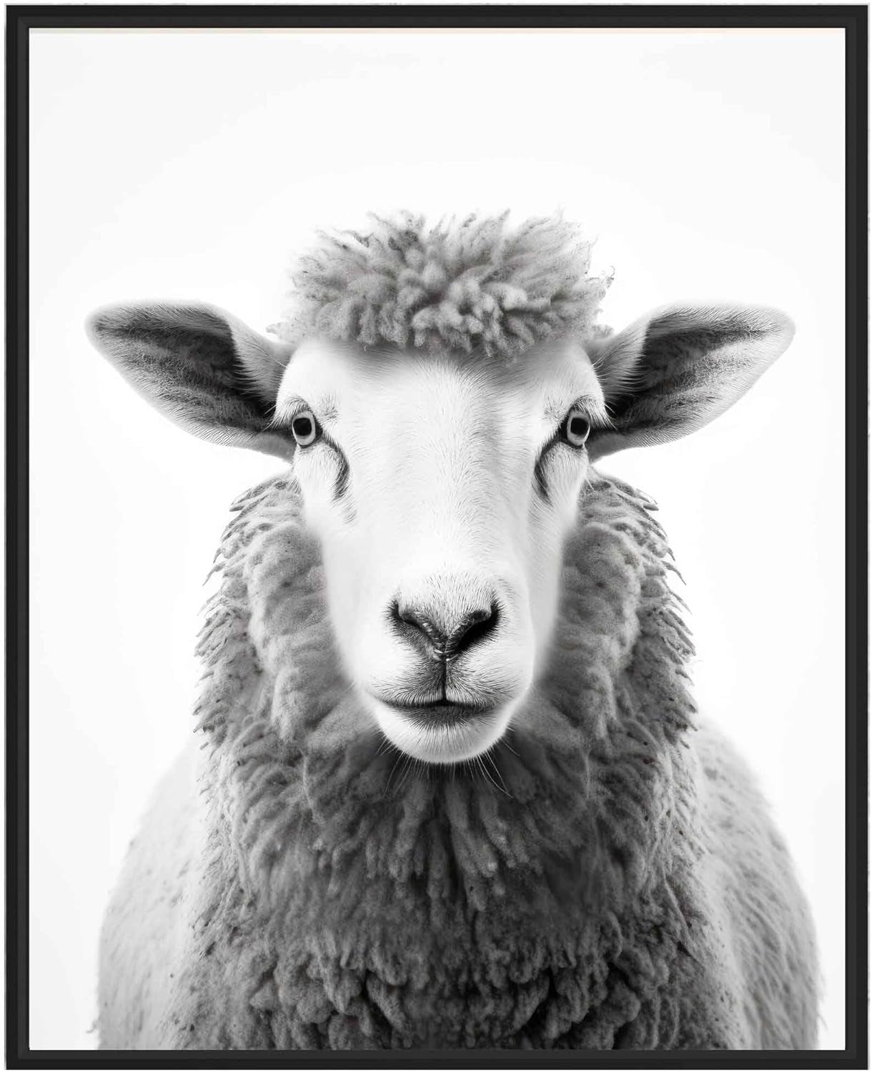 AEFER Sheep Art Prints Posters, Black and White Photography Wall Art ...