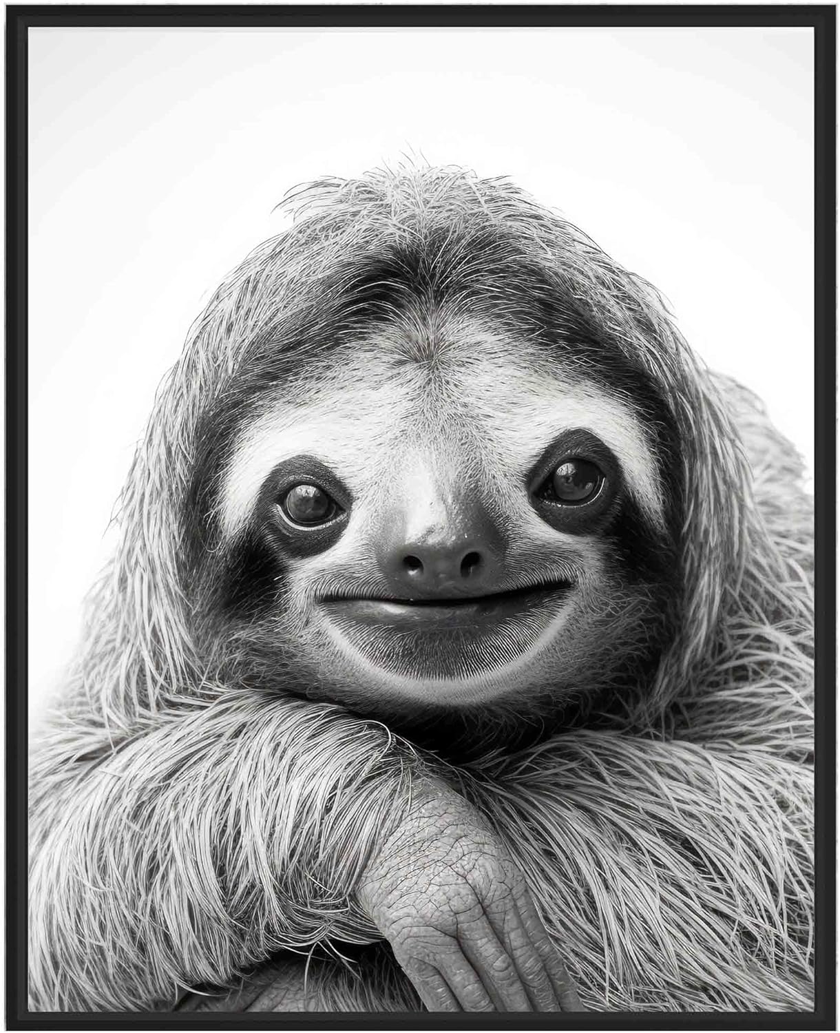 AEFER Sloth Art Prints Posters, Black and White Photography Wall Art ...