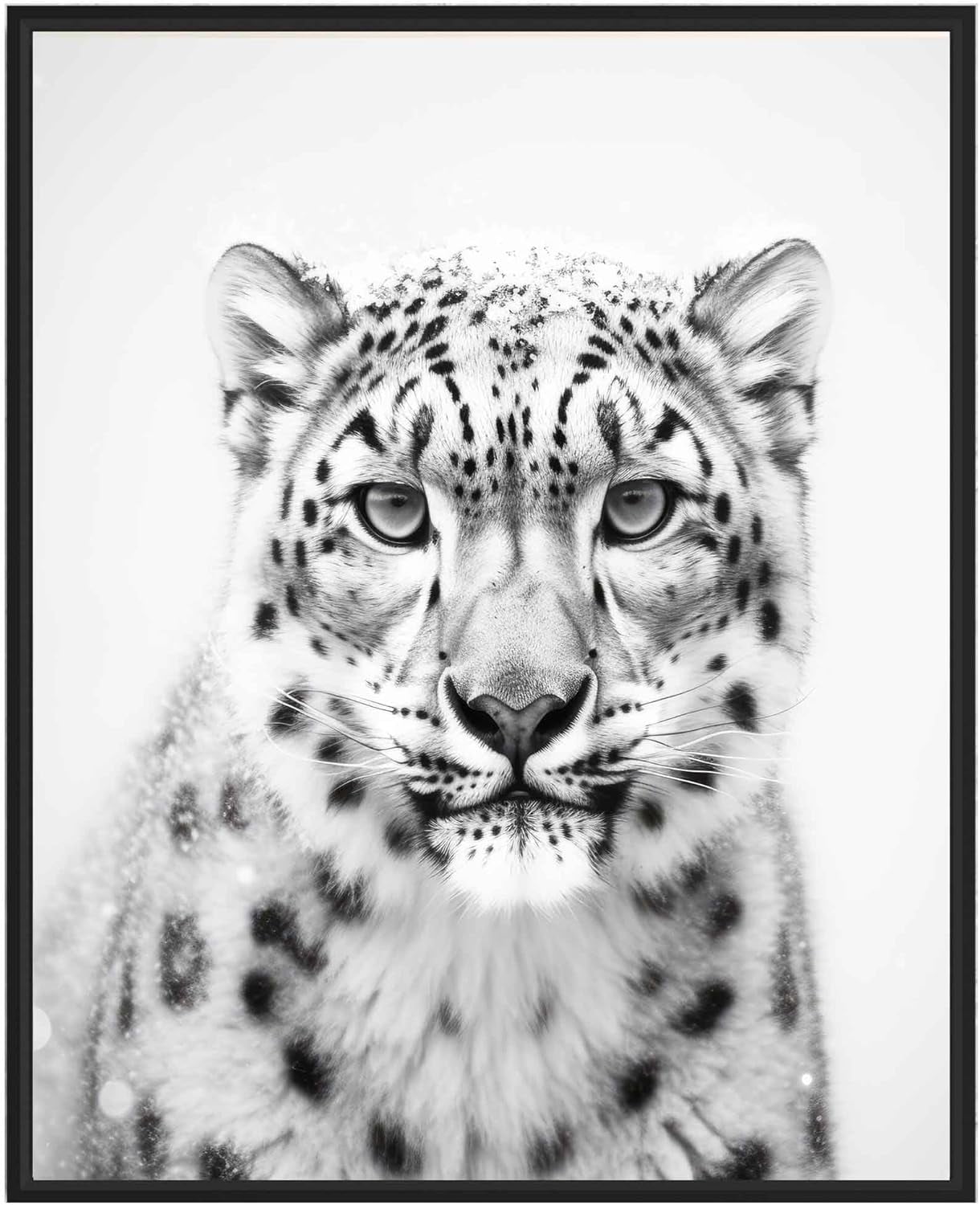 AEFER Snow Leopard Art Prints Posters, Black and White Photography Wall ...