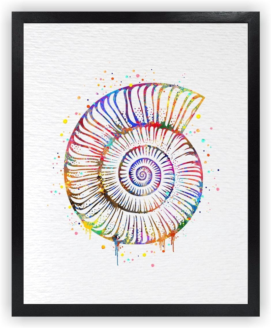 AEFER Spiral Shell Nautilus Ocean Sea Snail Peridic Pattern Nature ...