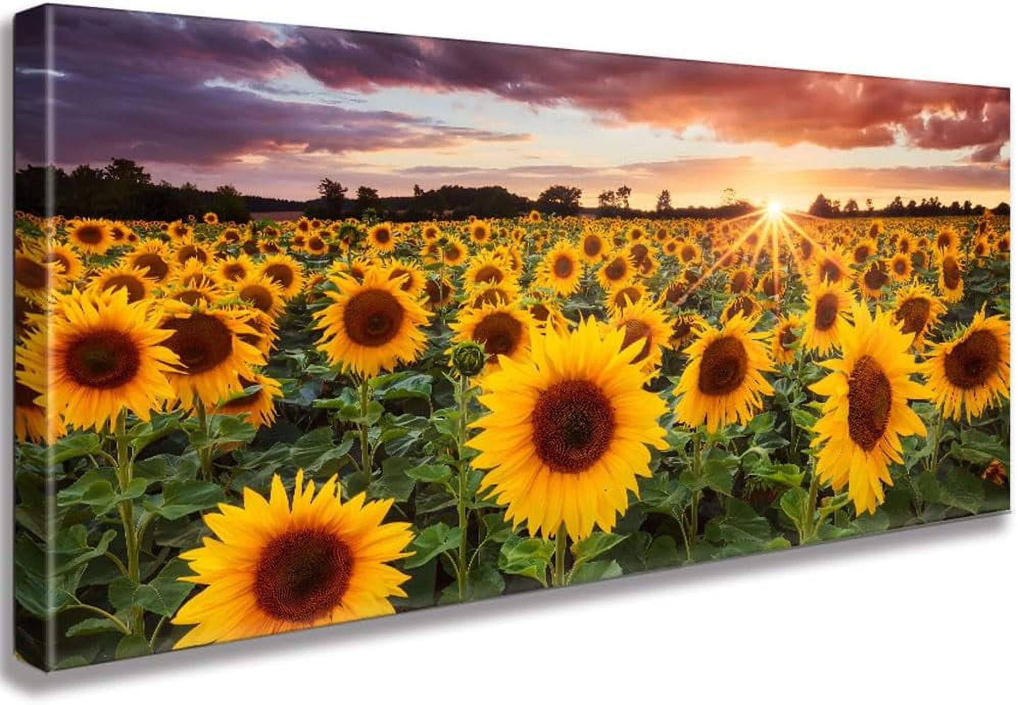 AEFER Sunflower Wall Art Sunset Pictures Yellow Vivid Floral Scenery ...