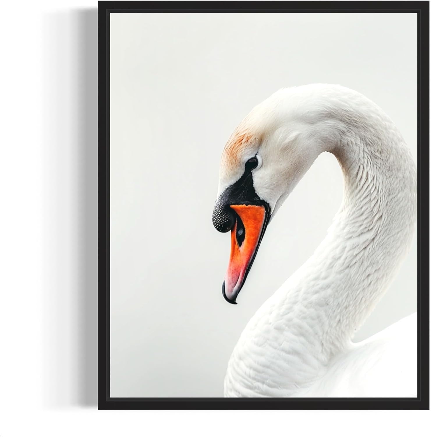 AEFER Swan Poster Art Print, Animal Portrait Wall Art Nature Decor ...