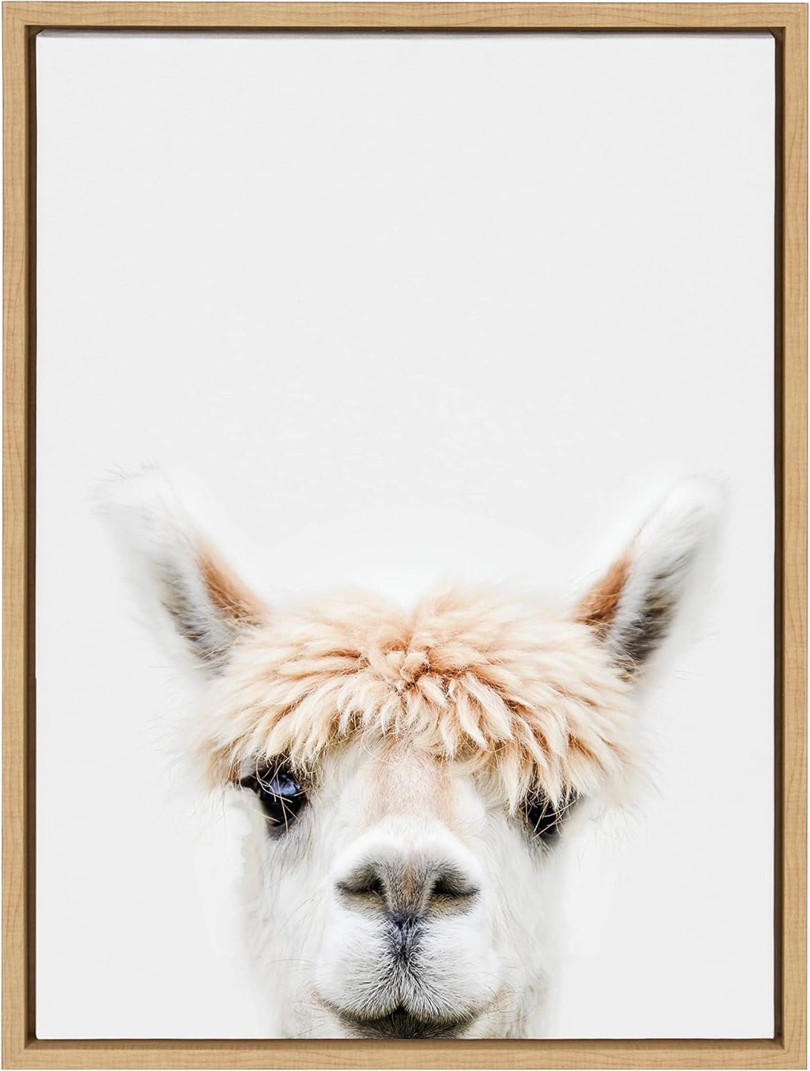 AEFER Sylvie Alpaca Bangs Canvas Wall Art by Amy Peterson Art Studio ...