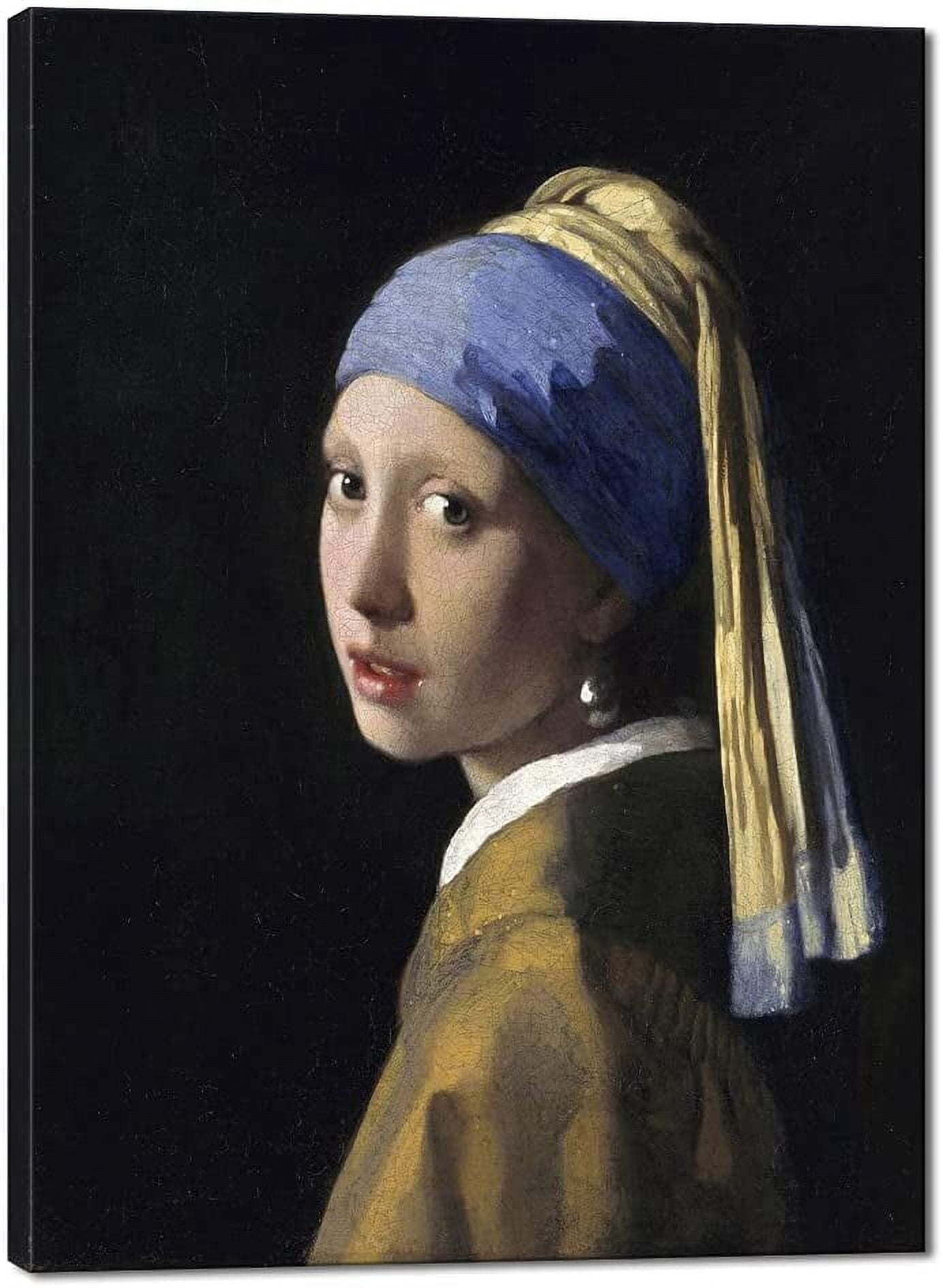 AEFER The Girl with a Pearl Earring by Jan Vermeer Oil Paintings ...