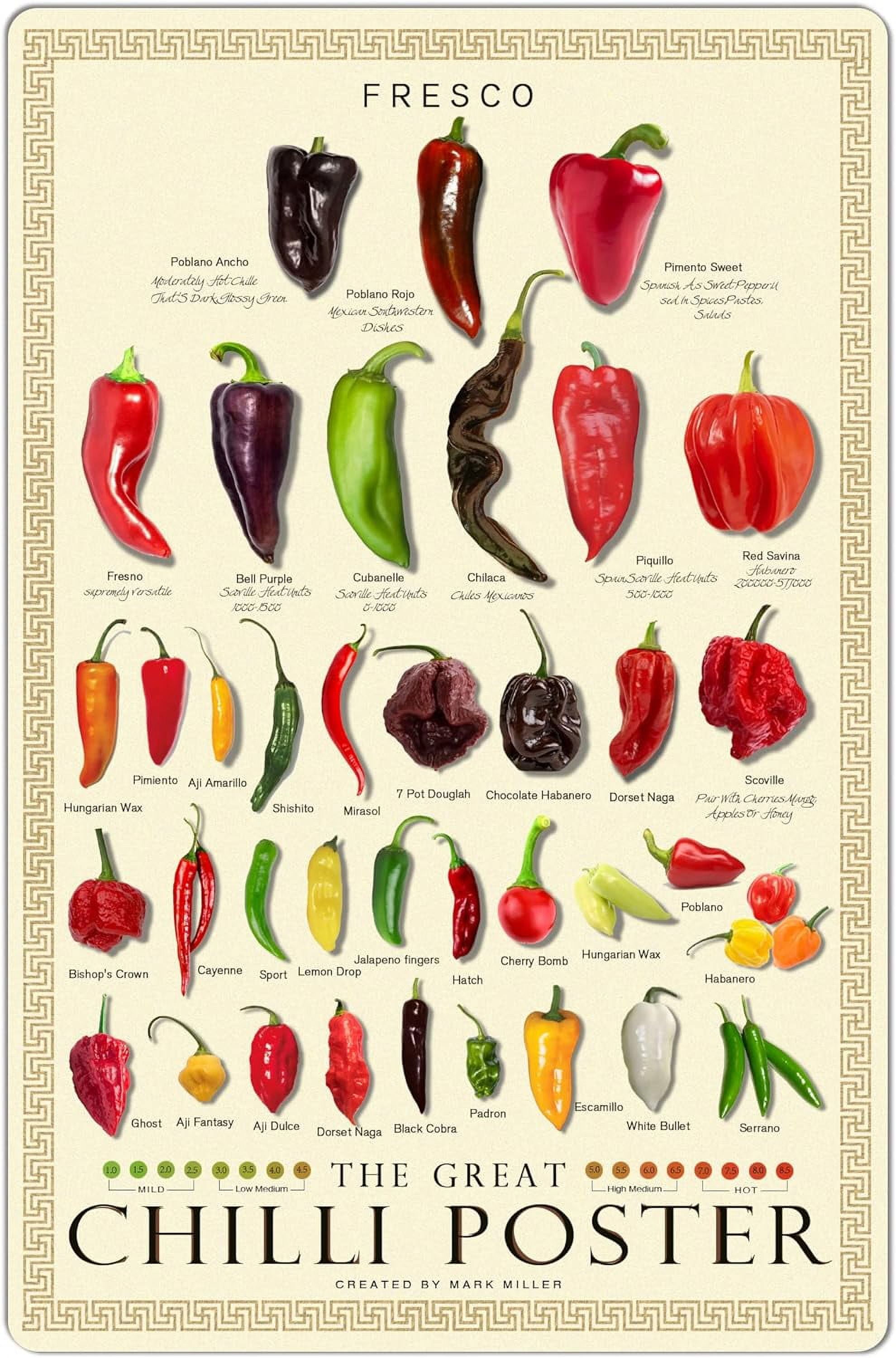 AEFER The Great Chilli Poster Fresco Pepper Species Spicy Metal Tin ...
