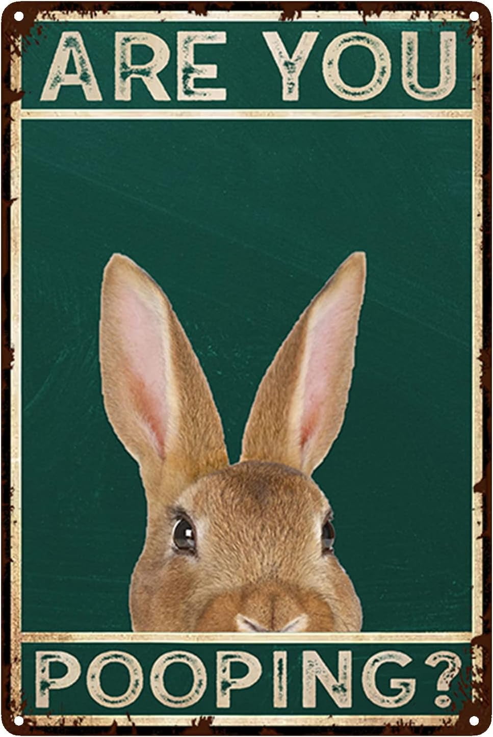 AEFER Tin Metal Signs Funny Bunny Easter Eggs Are You Pooping Signs ...