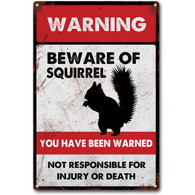 AEFER Tin Sign Beware of Squirrel Metal Tin Sign Wall Decor Man Cave ...