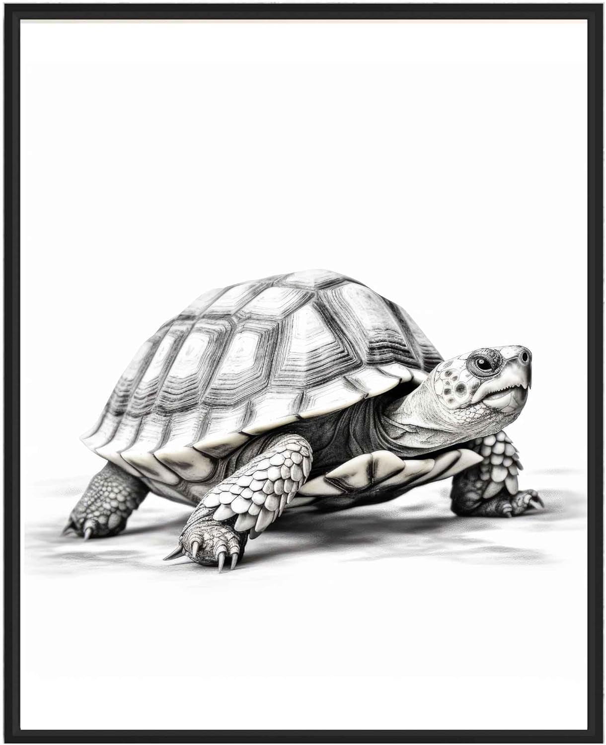 AEFER Turtle Art Prints Posters, Black and White Photography Wall Art ...