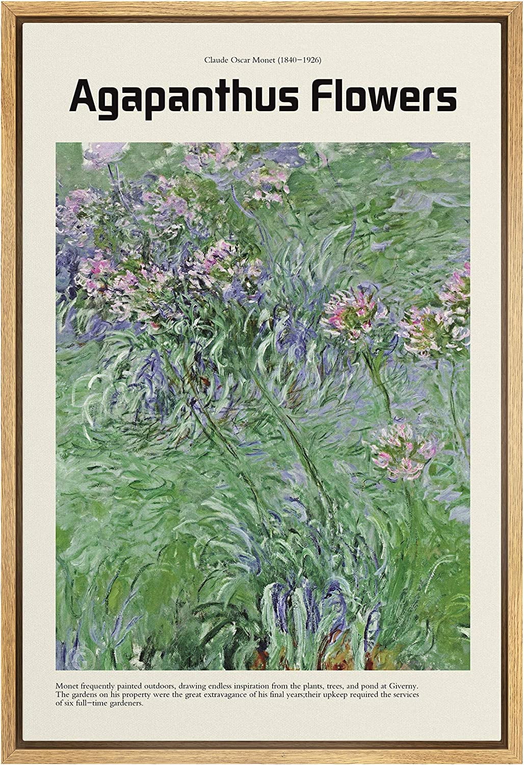 AEFER Unframed Canvas Print Wall Art Agapanthus Flowers Master Artist ...