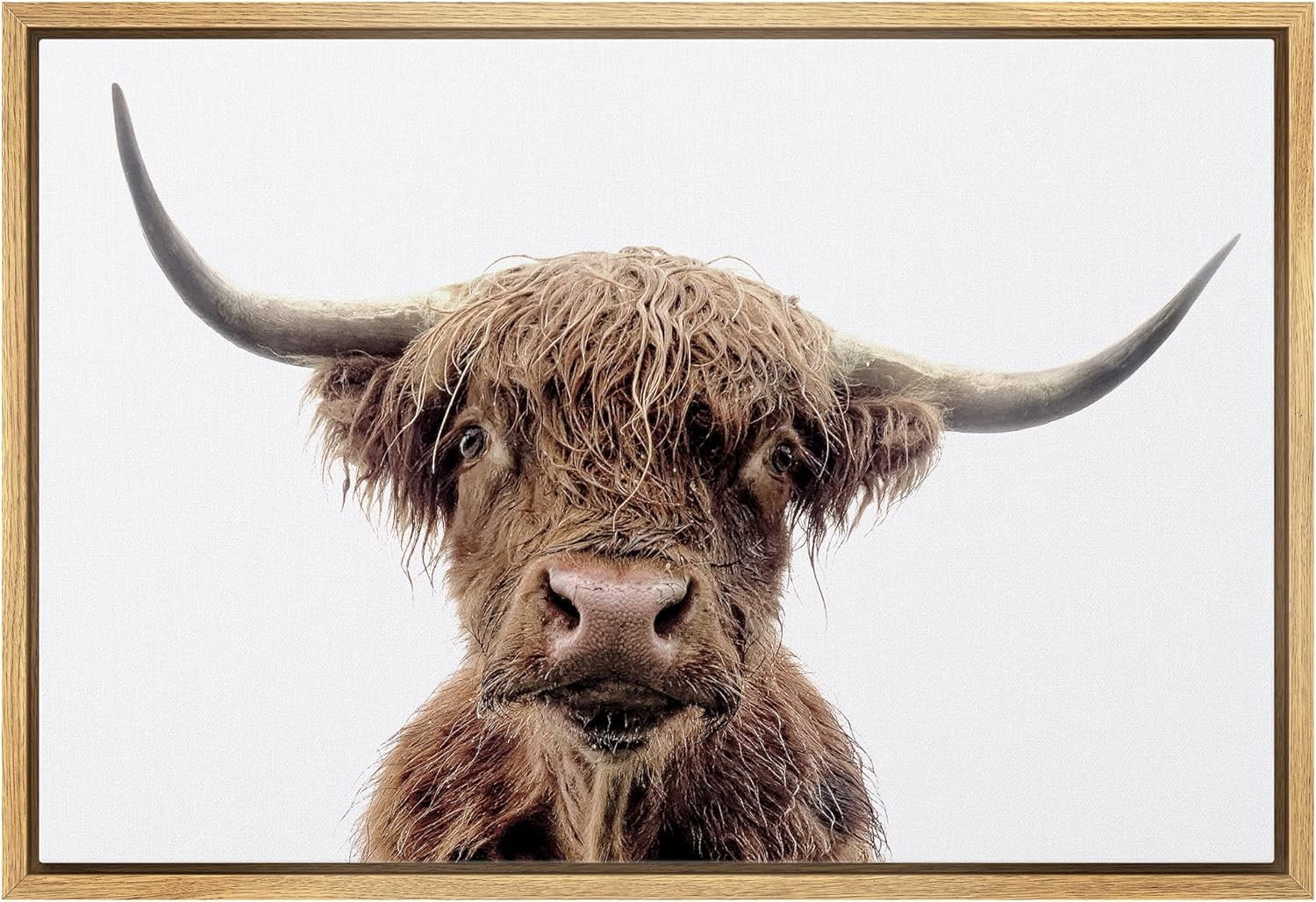 AEFER Unframed Canvas Print Wall Art Brown Highland Cow Looks Down ...