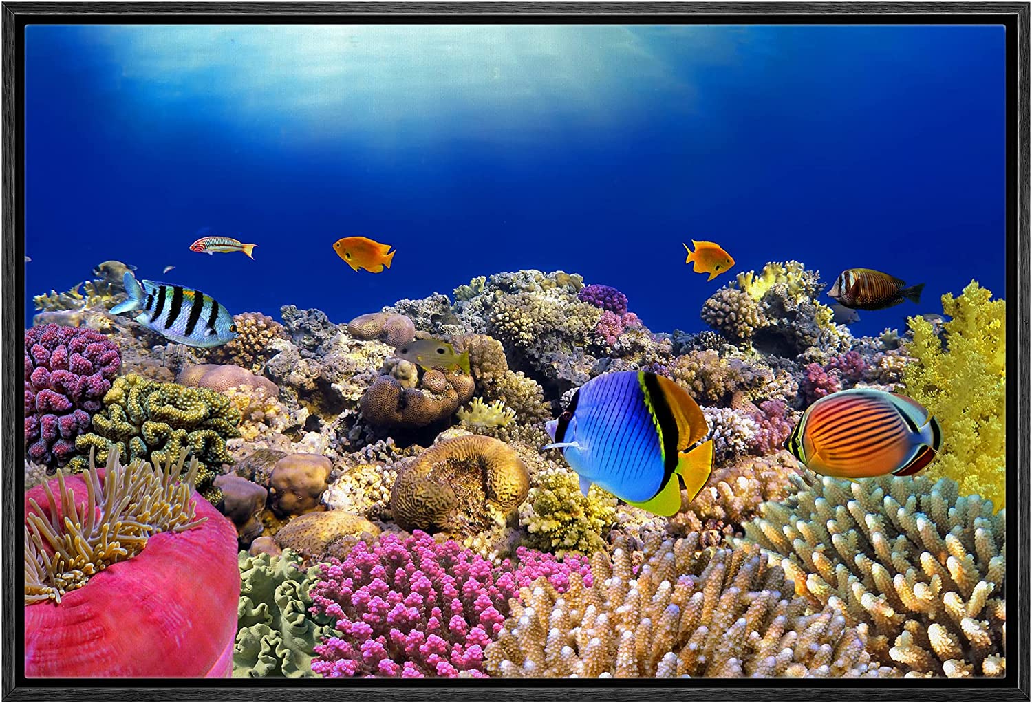 AEFER Unframed Canvas Print Wall Art Vibrant Coral Reef Anemone Fish ...