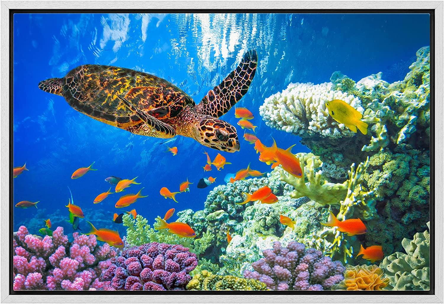AEFER Unframed Canvas Print Wall Art Vibrant Neon Underwater Turtle ...